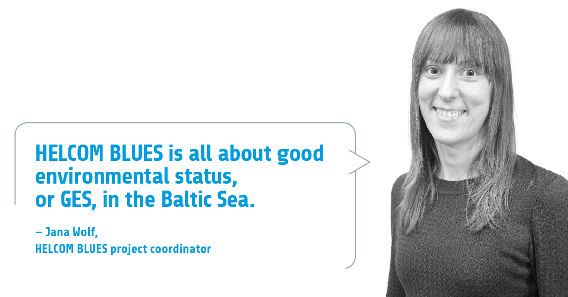 Three questions to… Jana Wolf, HELCOM BLUES project coordinator – HELCOM